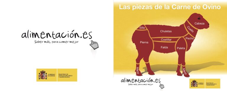 🍖 Las carnes en gastronomía Estudiar cocina y gastronomía
